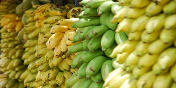 Signature Dishes of Seychelles | Emirates Holidays