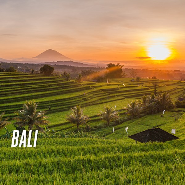 Emirates Holidays 2024 / 2025 l Emirates Holidays