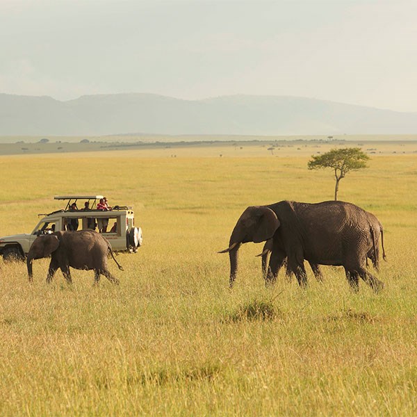 Emirates Holidays | Package Holidays 2024 / 2025