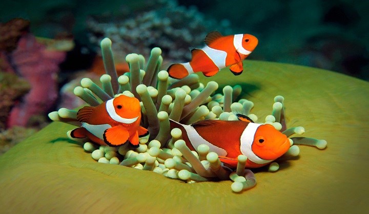 Palma Aquarium in Majorca | Majora | Spain | Travel Republic